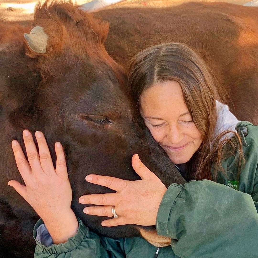 Healing through Animals – On Wildlife