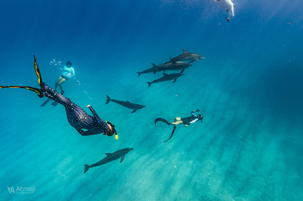 Life as a Wildlife Documentary Writer – On Wildlife